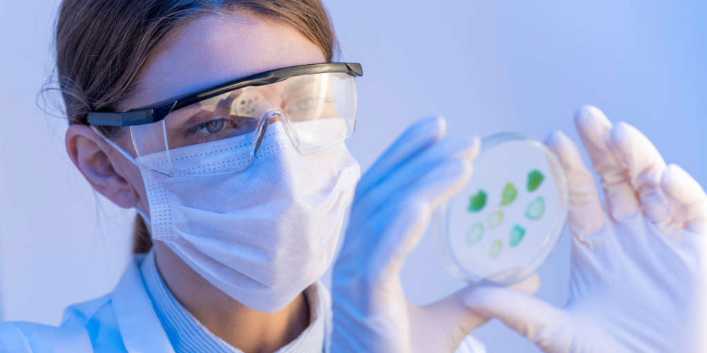 How Long Does Mold Growth Take? - IRIS Lab