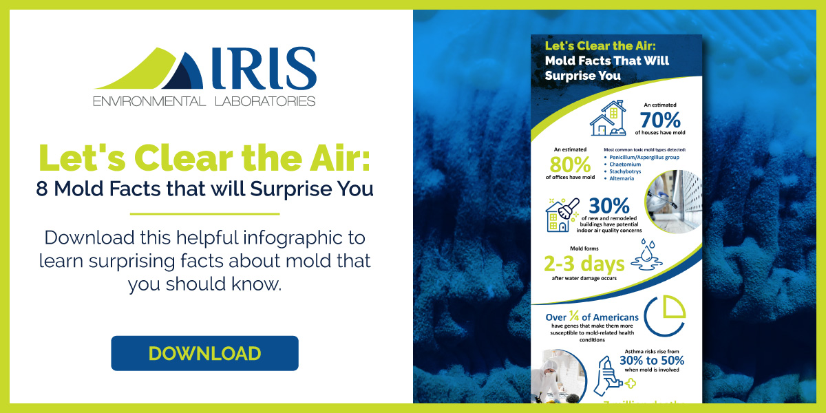 Let's Clear the Air: Mold Facts That Will Surprise You - IRIS Lab